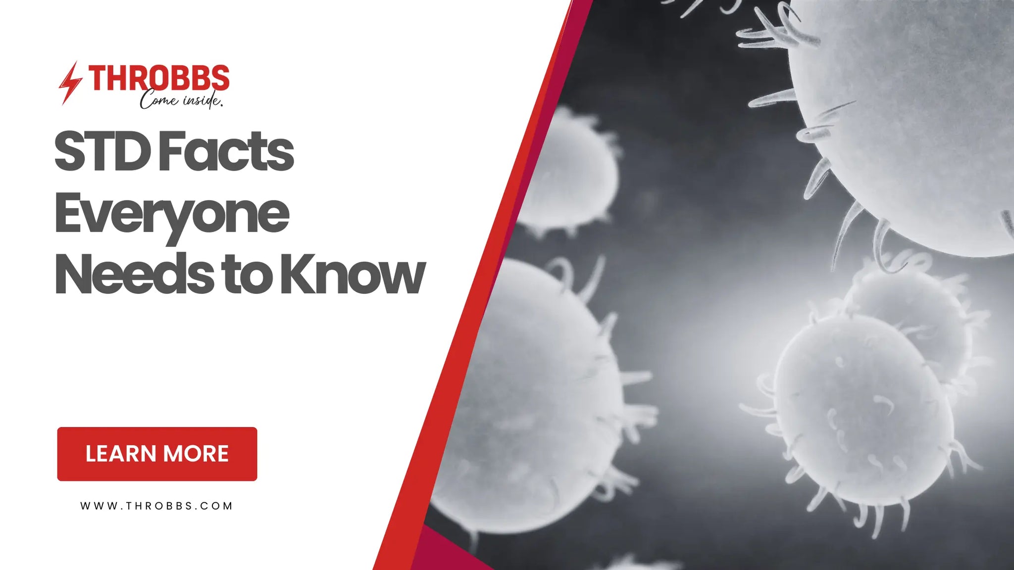 STD Facts Everyone Needs to Know